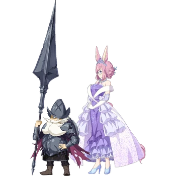 Don Quixote | Fate/Grand Order Wiki | Fandom
