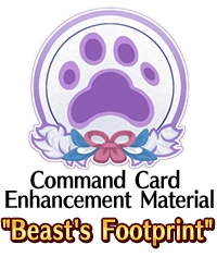 Command Card Strengthening | Fate/Grand Order Wiki | Fandom