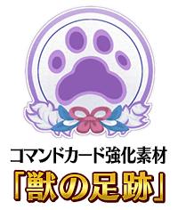 Command Card Strengthening | Fate/Grand Order Wiki | Fandom