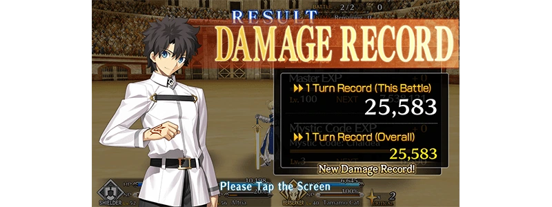 FGO Festival 2020 ~3rd Anniversary~ (US)/Damage Record | Fate/Grand ...