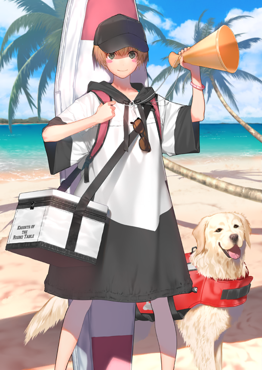 Gareth (Saber) | Fate/Grand Order Wiki | Fandom
