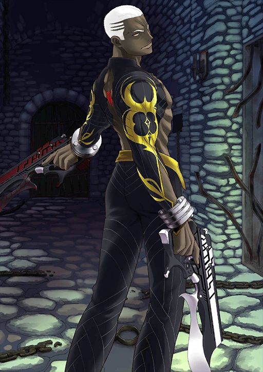 EMIYA (Alter) | Wikia Fate Grand Order Việt Nam | Fandom