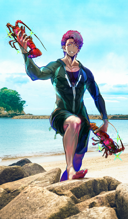 Heroic Spirit Stellar Journey: Lancelot (Saber) | Fate/Grand Order Wiki ...