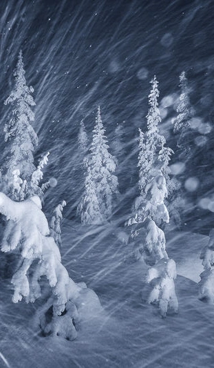 User blog:Ixalea/Snowfield | Fate/Grand Order Wiki | Fandom