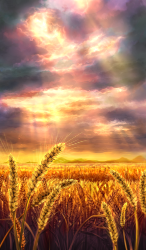 Revelation from Heaven | Fate/Grand Order Wiki | Fandom