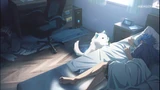 Sub:Sétanta/Gallery | Fate/Grand Order Wiki | Fandom