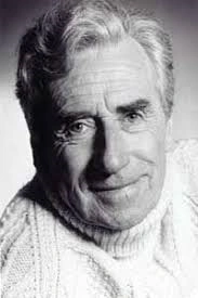 Paddy Ward | Father Ted Wiki | Fandom