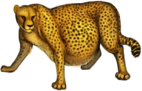 Gorged Cheetah | Fatty Text Adventure Guide Wikia | Fandom