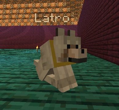 Latro | Wiki FavelaSMP | Fandom