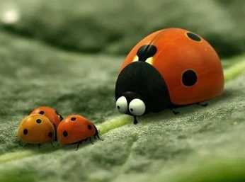 Minuscule | Favorite TV Programs Wiki | Fandom