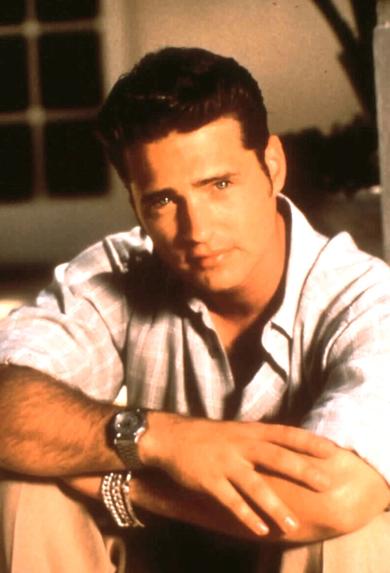 Brandon Walsh | Favourite Tv Series Wiki | Fandom