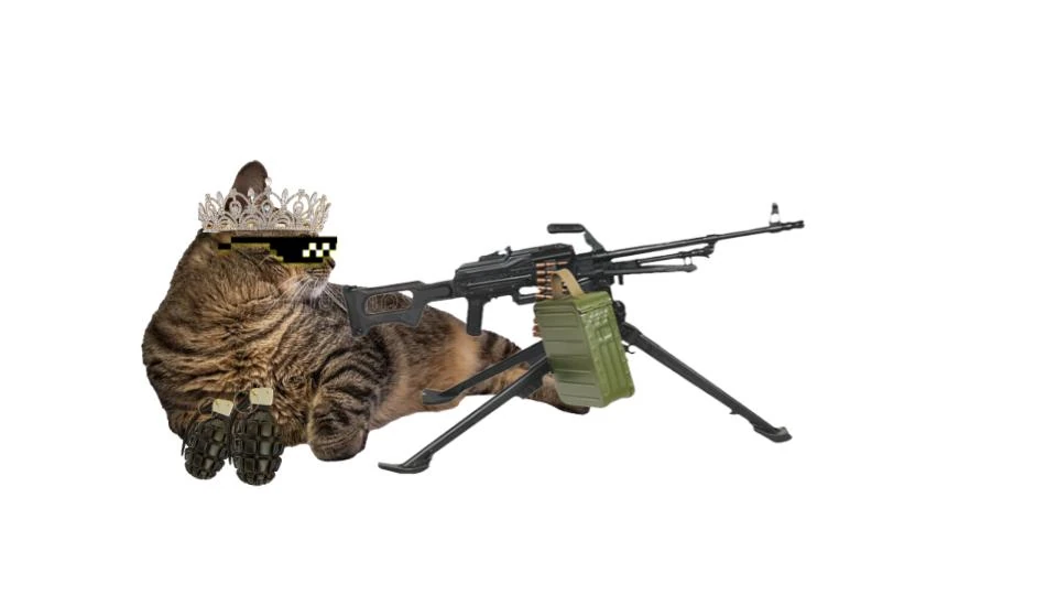 CatFaxQueen | Fax Universe Wiki | Fandom