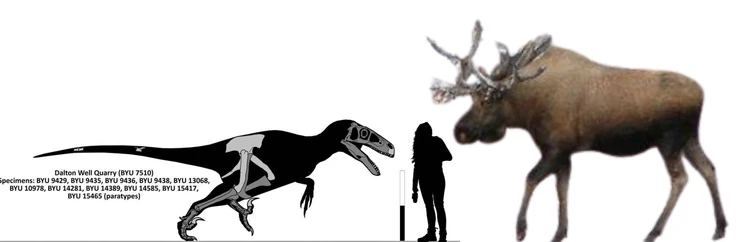 Saurio size comparison drop number uhhhh idfk | Fandom