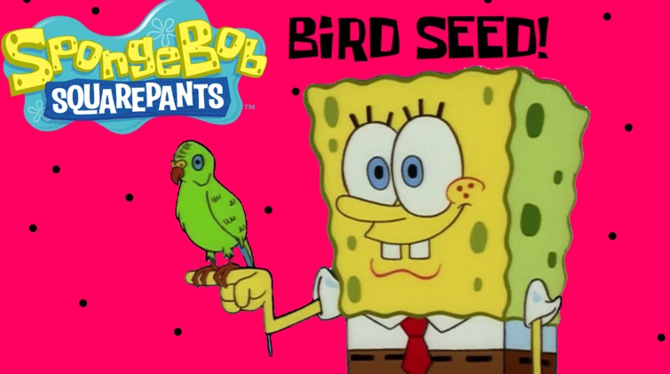 SB Bird Seed! | Fandom