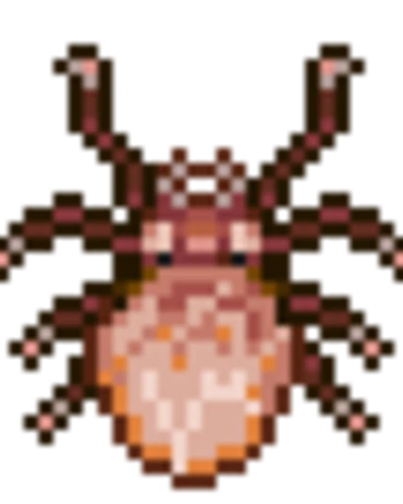 Discuss Everything About Terraria Wiki | Fandom