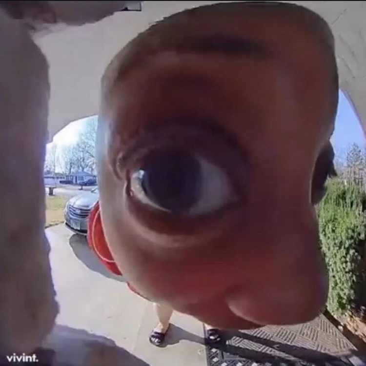 i need show recommendations | Fandom