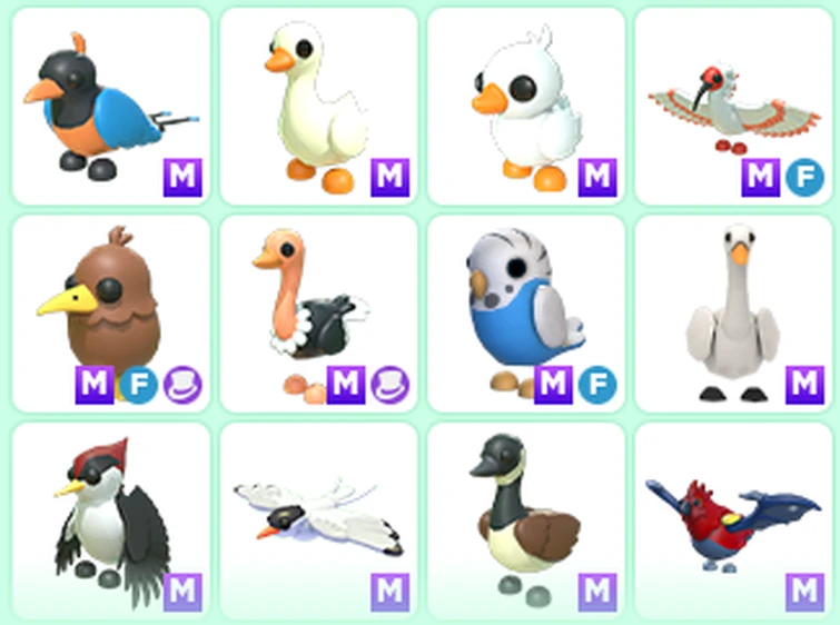 Discuss Everything About Adopt Me! Wiki | Fandom