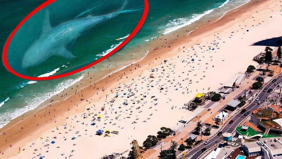 He eated a leviathans | Fandom