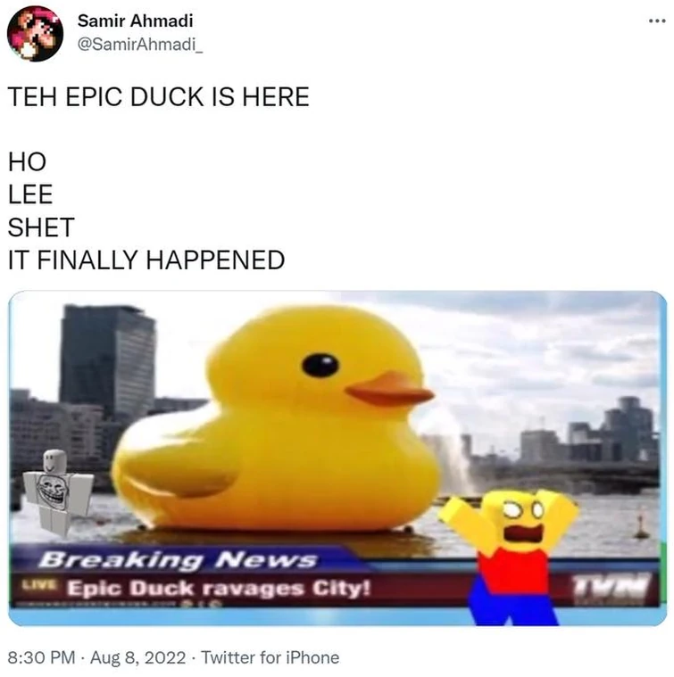 TEH EPIK DUCK IS COMING | Fandom