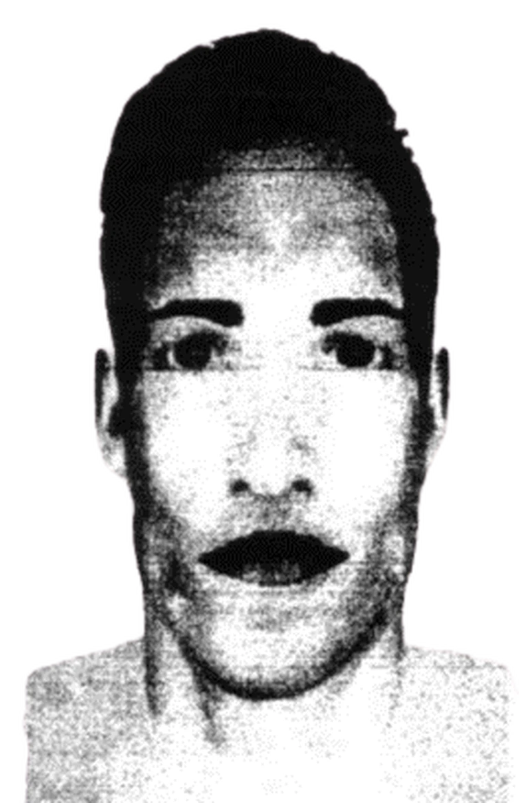 I don't normally do this but ask Snow Singer anything ig | Fandom