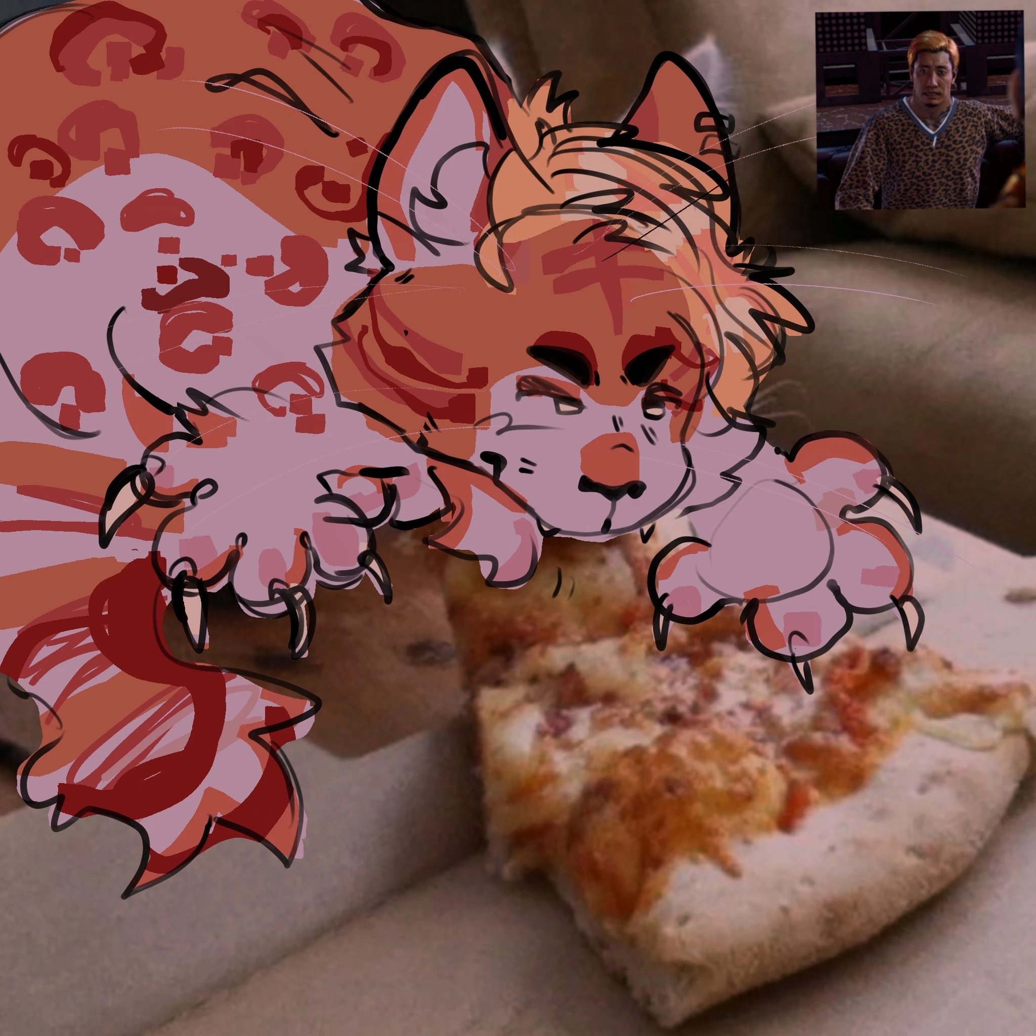 Meeeowww meoww cat doodle | Fandom