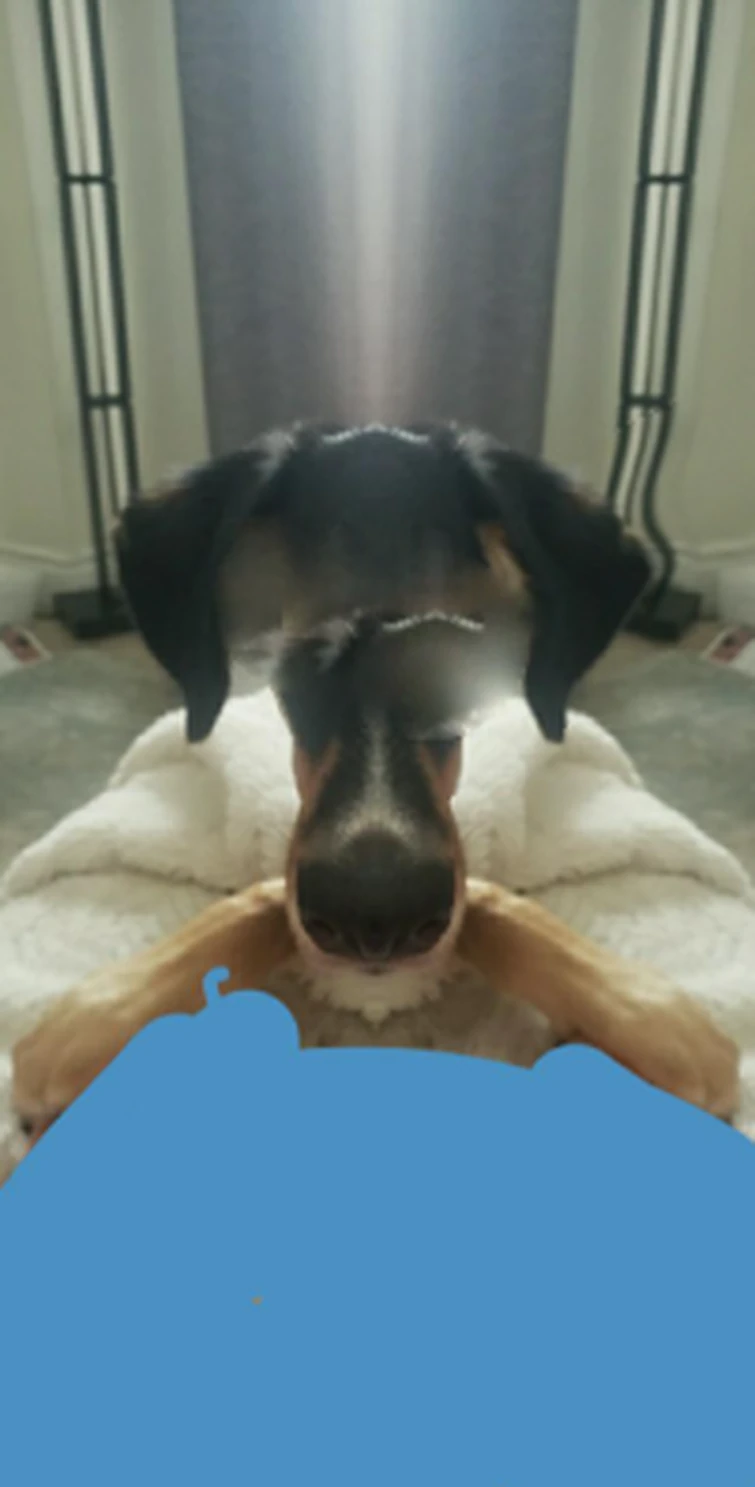 uh huh..yea (my rap) | Fandom