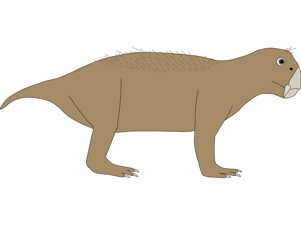 Lystrosaurus | Fandom