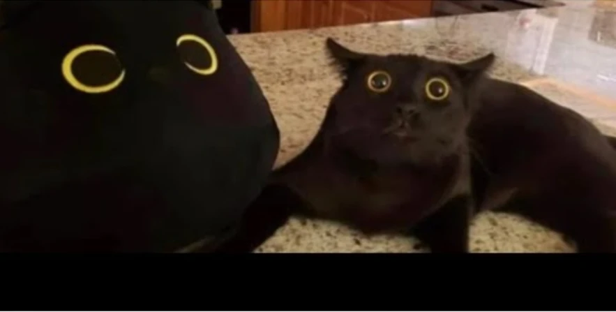 So like..- is there a map of explorer token spawns? | Fandom