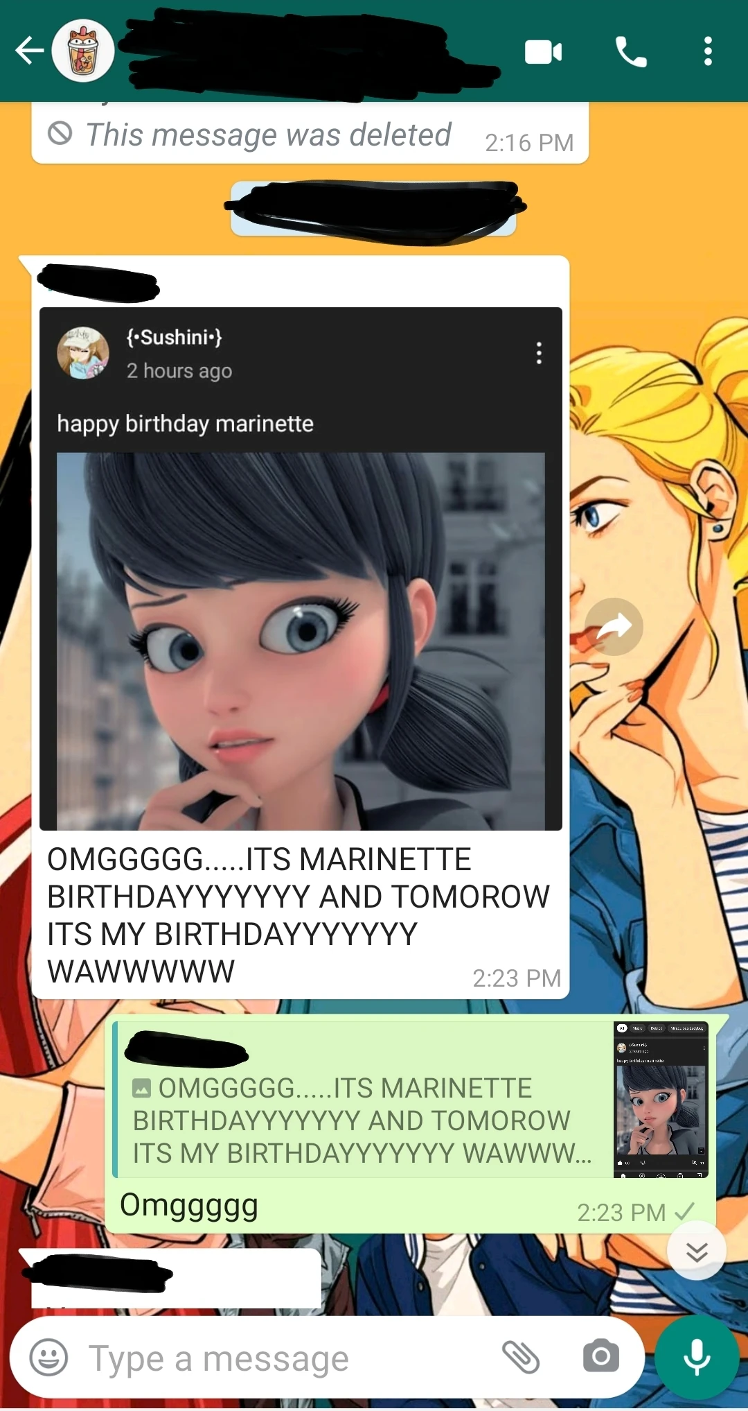 HAPPY BIRTHDAY MARINETTE! | Fandom