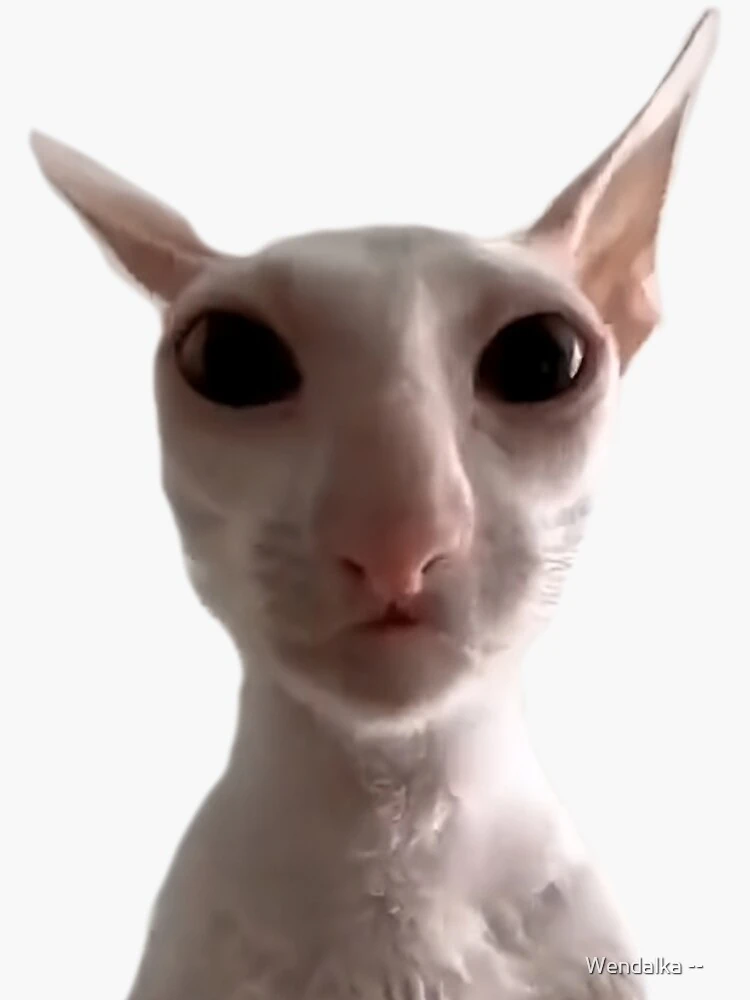 Progress check 5 | Fandom