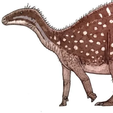 Daily Dose of Dino Fights - 37 | Fandom