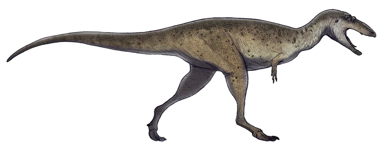 Giant Sauropods-1 | Fandom