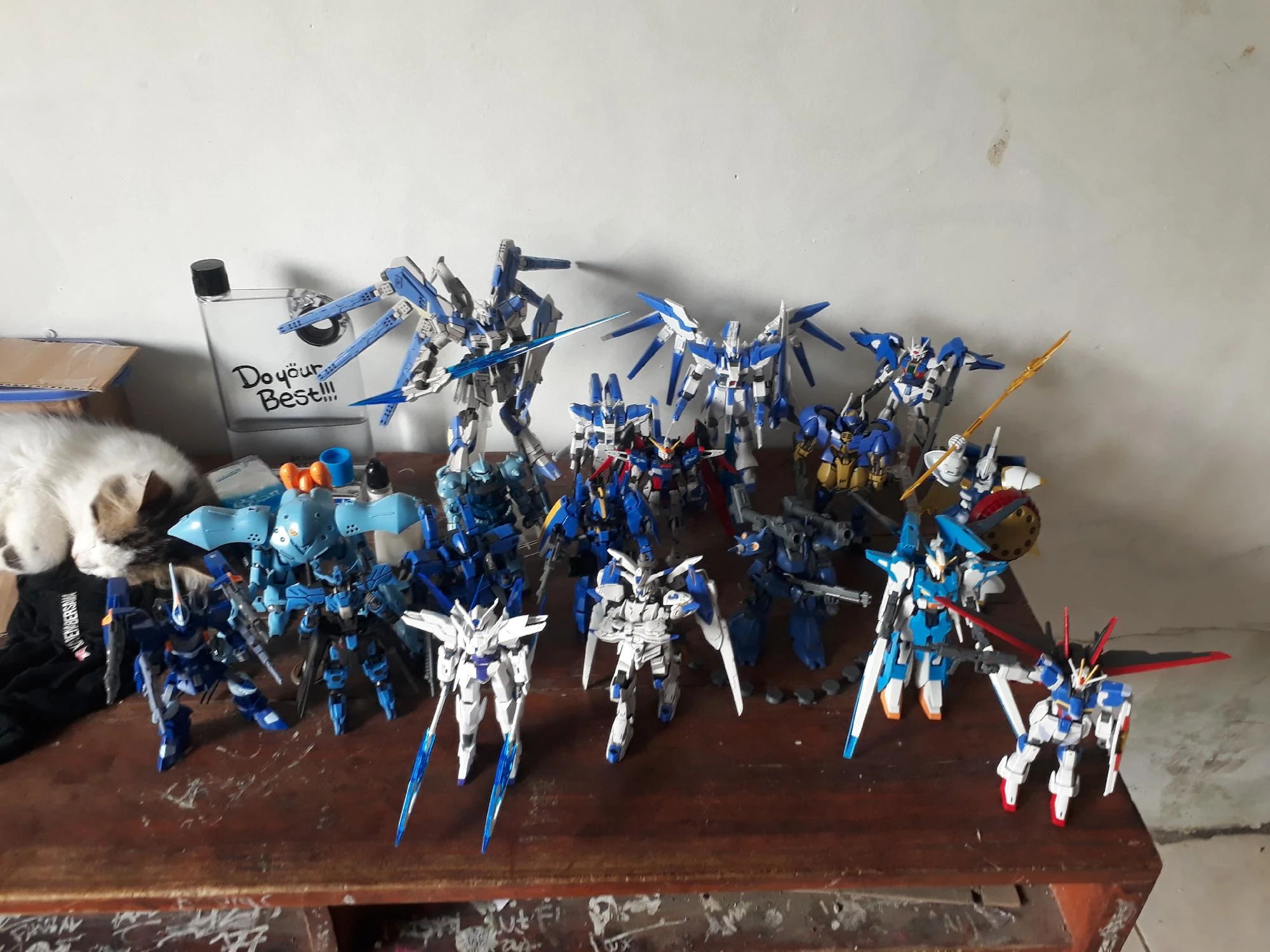 Blue squad | Fandom