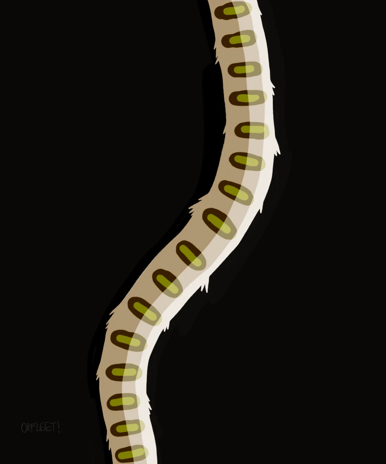 Discuss Everything About Creatures of Sonaria Wiki | Fandom