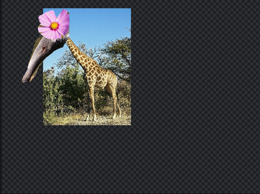 circulantis😲😳😍 | Fandom