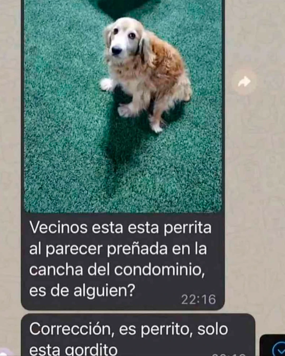 Chat (21 de enero) | Fandom