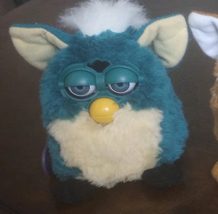 Is it true that washing a 1998 furby in fabric detergent leaves the fur ...