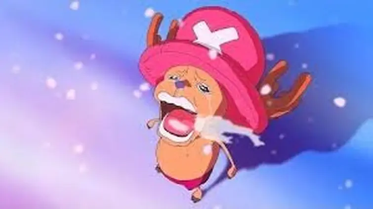 me when no more daily chopper | Fandom
