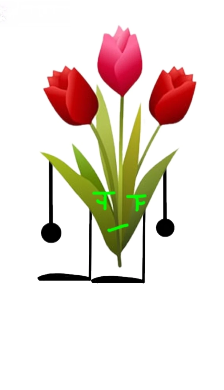 Dutch object show! | Fandom