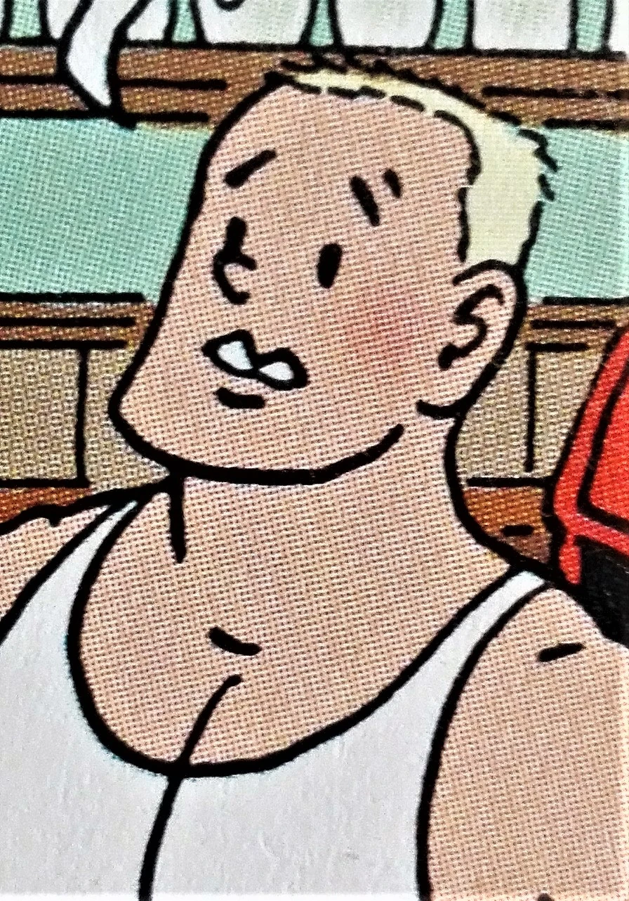 Stany Costermans | F.C. de kampioenen strips Wikia | Fandom