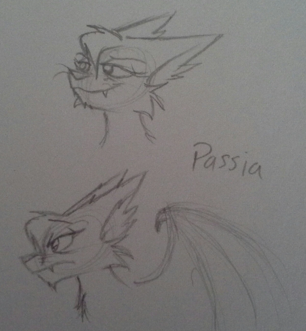 Passia | Fan Characters Wiki | Fandom