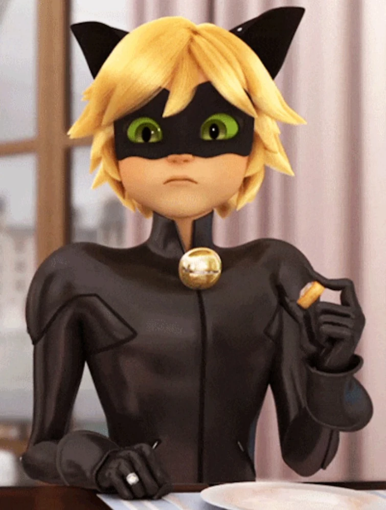 Who do you simp for in miraculous ladybug | Fandom
