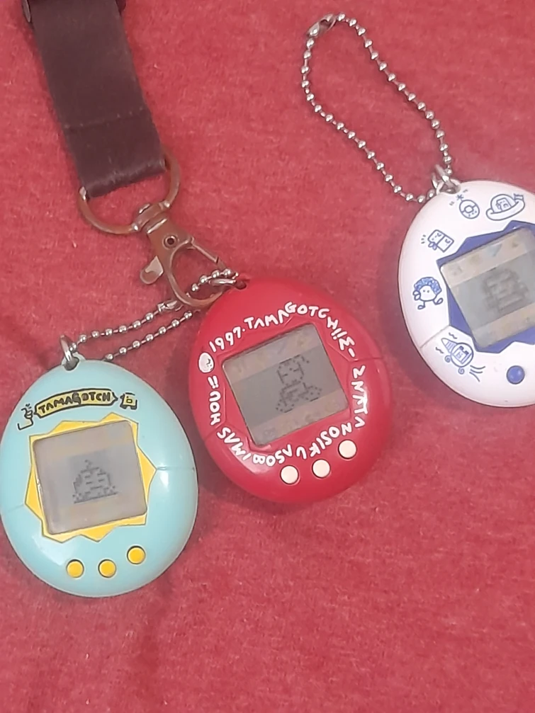 I got Oyajitchi and Charitchi along with Sekitoritchi in my Tamagotchi ...