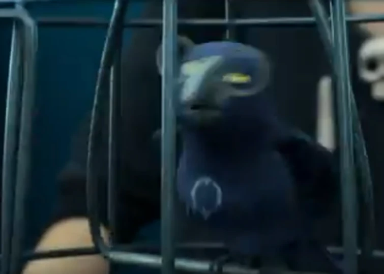 Already take a Pic | Fandom