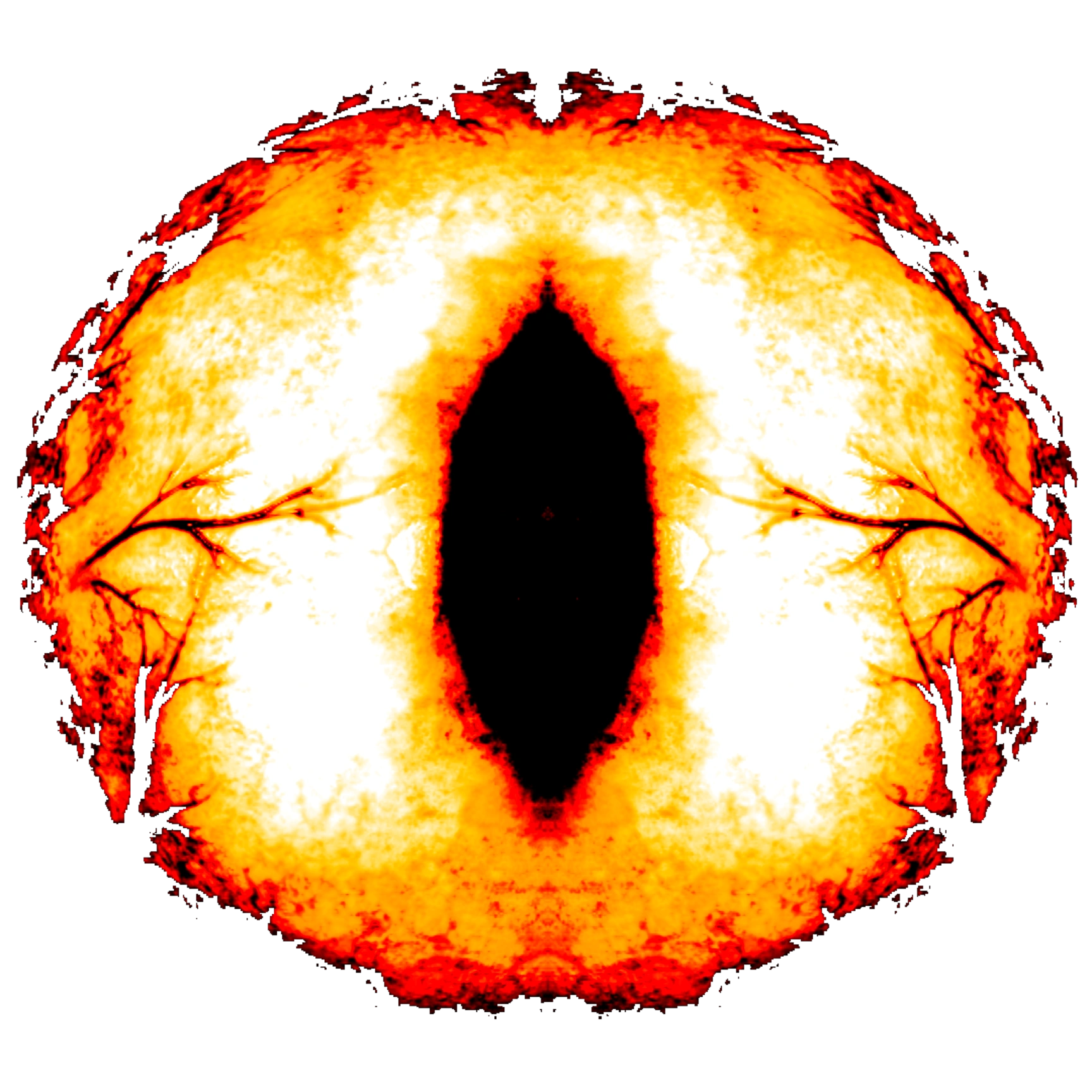 Another distorted eye asset I made. (Dragon Eye) | Fandom