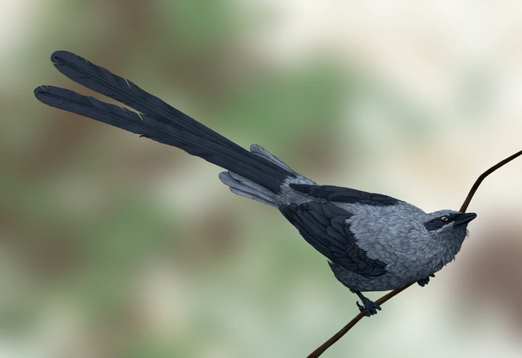 Any ideas what the new birb could be? | Fandom