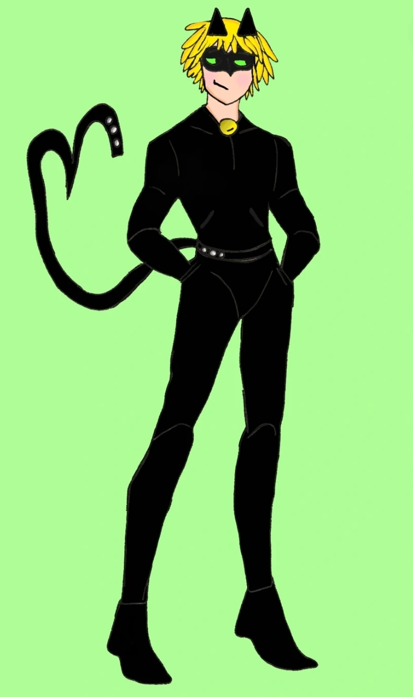 CHAT NOIRRRR 🐈‍⬛🫶 | Fandom