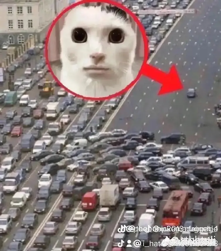 Some cursed images, comment if you spot the blursed (Blessed +cursed ...