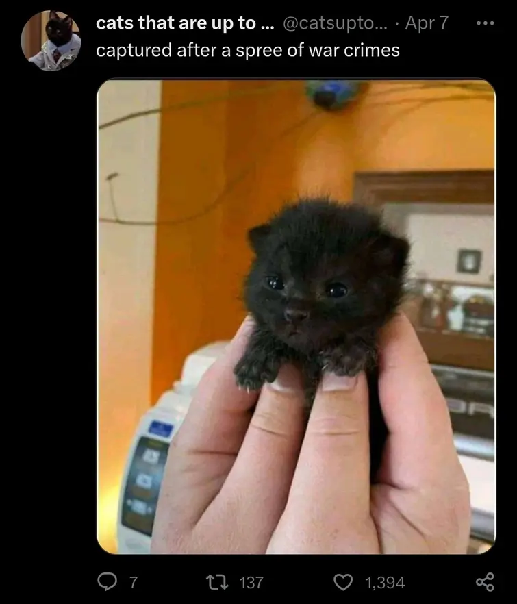 send random cute images lol | Fandom