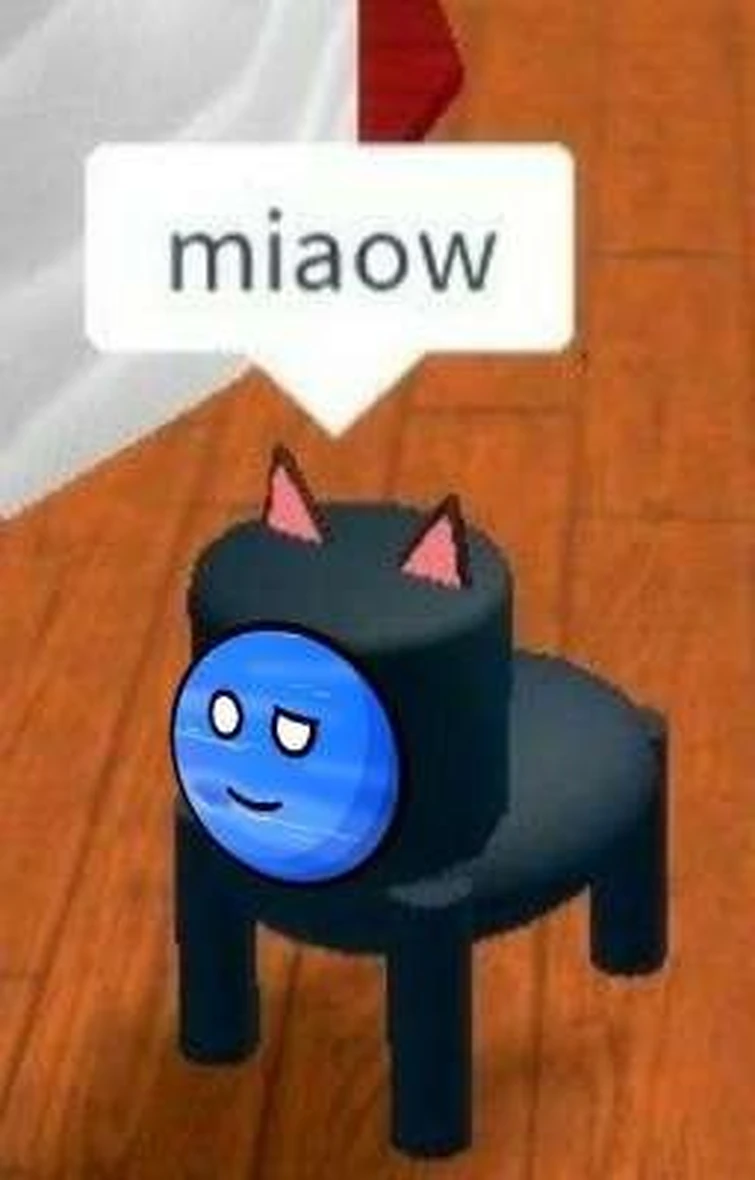 goofiest thing? | Fandom